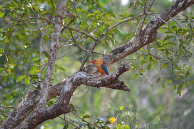 Orangutan Tanjung Puting Day Trip - Final Thoughts
