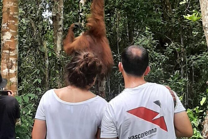 Orangutan Tanjung Puting Honeymoon CoupleTour - A detailed look at the Orangutan Tanjung Puting Honeymoon Couple Tour