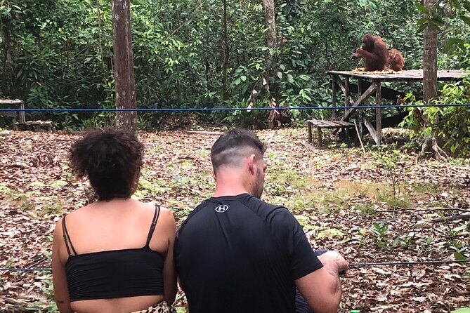 Orangutan Tanjung Puting Honeymoon CoupleTour - Final thoughts