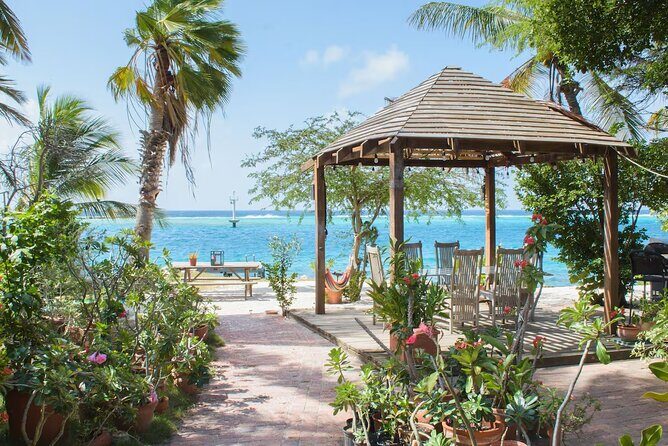 Oranjestad AUA Airport Transfer to Oranjestad/Noord/Cura Cabai - What to Expect from This Transfer Service