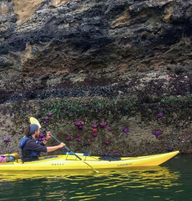 Orcas Island: Wildlife Spotting Kayak Tour - Key Points