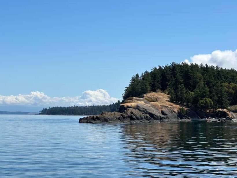 Orcas Island: Wildlife Spotting Kayak Tour - Who Should Consider This Tour?