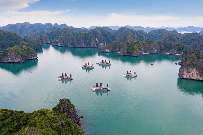 Orchid Trendy Cruises - Halong Bay 2 Days/1 Night 5 Star - Final Thoughts