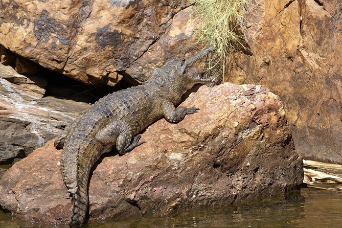 Ord River Cruise Experience with Riverside Lunch - Who Will Love This Tour?