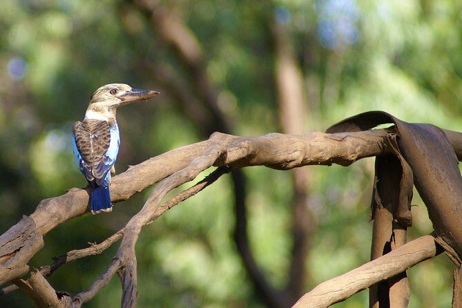 Ord River Cruise Experience with Riverside Lunch - FAQs
