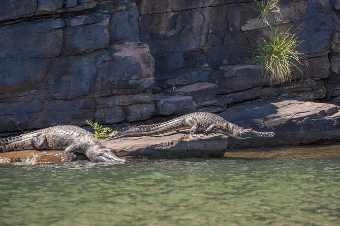 Ord River Discoverer Cruise with Sunset - Frequently Asked Questions