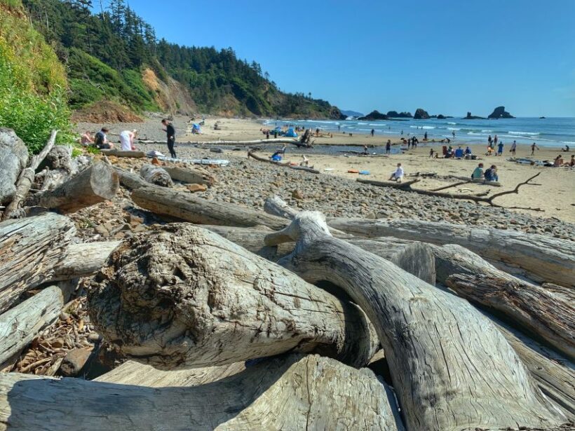 Oregon Coast Day Tour: Cannon Beach and Haystack Rock - Authentic Experiences and Genuine Praise