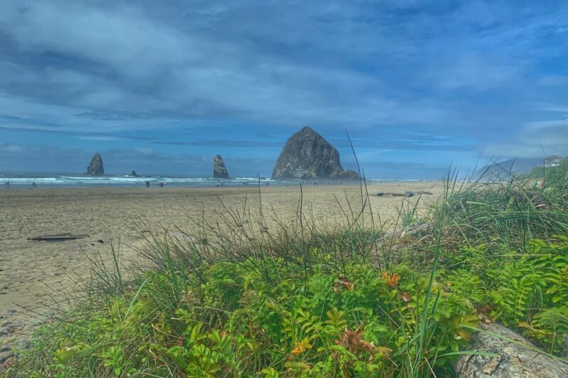 Oregon Coast Day Tour: Cannon Beach and Haystack Rock - Key Points