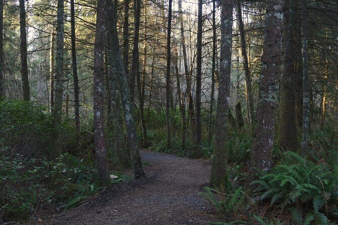 Oregon Coast Self Guided Audio Driving Tour - Final Thoughts