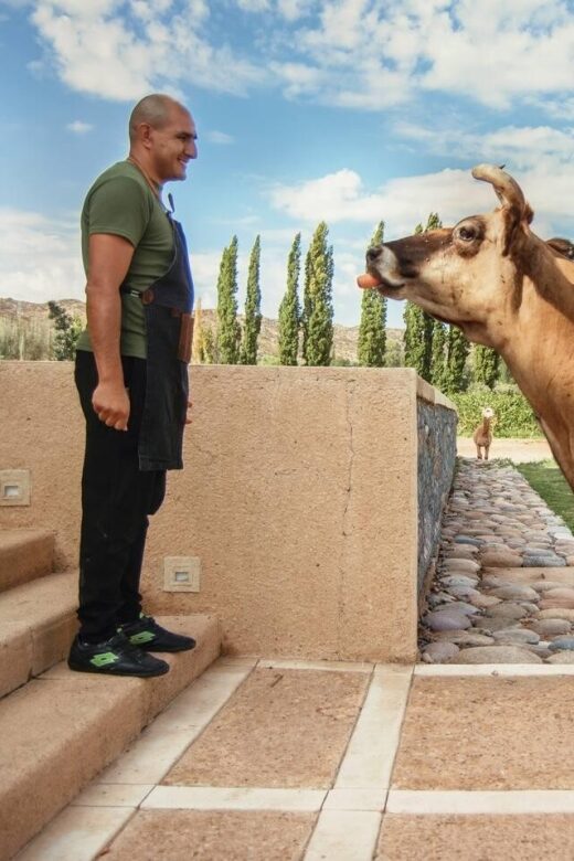 Organic & Biodynamic Wine Adventure in Mendoza - Detailed Breakdown of the Tour Experience