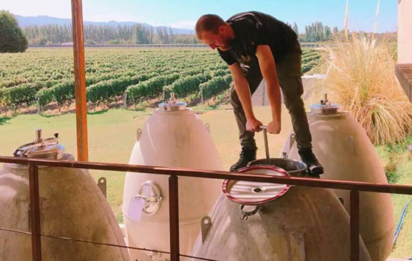 Organic & Biodynamic Wine Adventure in Mendoza - Summary