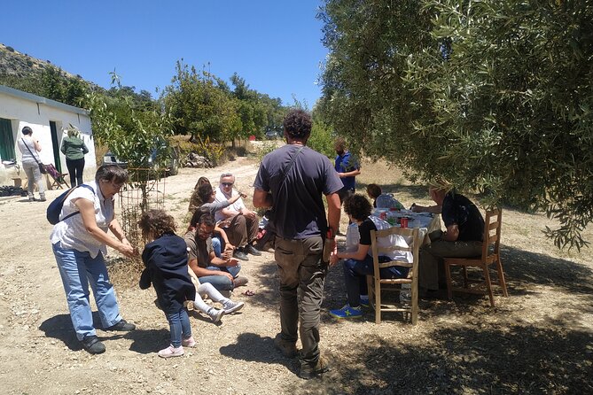 Organic Iberian Ham, farm visit and premium tasting! - FAQ