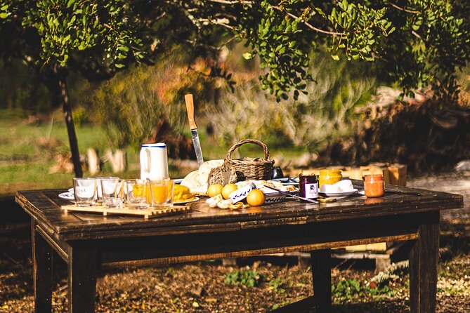 Organic Orange Picking & Jam Making With Farm-To-Table Lunch - Scheduling and Availability