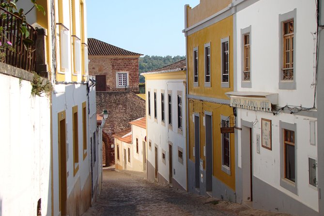 Organic Orange Picking & Jam Making With Farm-To-Table Lunch - Farm-to-Table Lunch and Jam Making