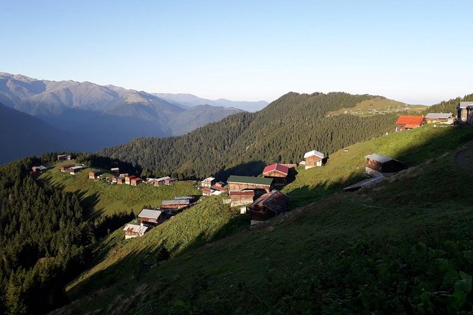 Organic Pokut Tour - Introduction