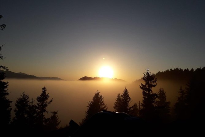 Organic Pokut Tour - What’s the Value?