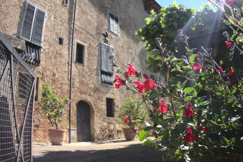 Organic Wine and Food Tasting at Historic Fattoria Majnoni - Final Thoughts