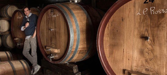 Organic Wine Tasting & Lunch Experience on Mt Vesuvius - Who Will Love This Tour?