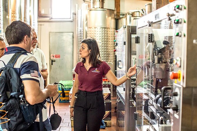 Organic Wine Tasting & Lunch Experience on Mt Vesuvius - FAQ