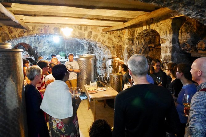 Organic Wine Tasting, Mozzarella and Gnocchi Workshop + Tiramisu - Learning the Art of Mozzarella Making