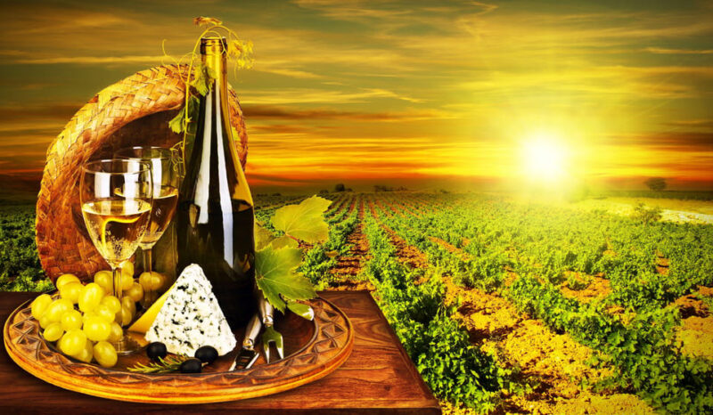 Organic Wine Tasting with Saint paul Half Day Tour from Nice - Authentic Experiences and Traveler Tips