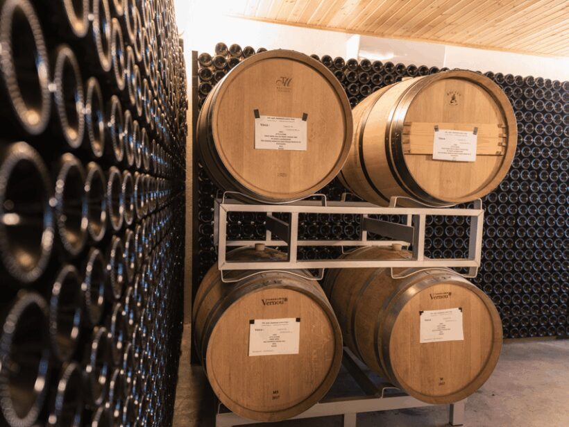 Organic Winery Visit & Wine Tasting with Food in Pavia - An In-Depth Look at the Experience