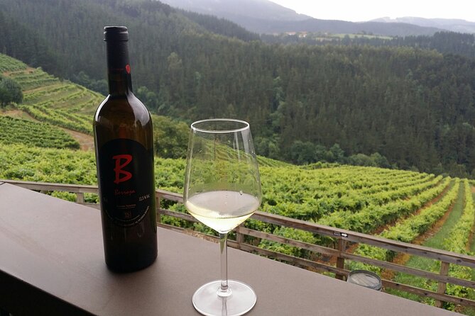 Organic Winery Visit with Tasting in Bilbao - Who Will Enjoy This Tour?