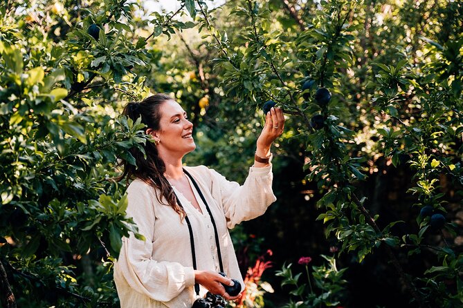 Organic Wood-fire Cooking Class - Crafting Traditional Greek Dishes