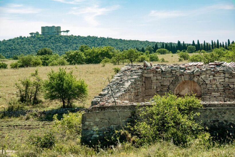 Organized tour from Bari to Castel del Monte - Key Points