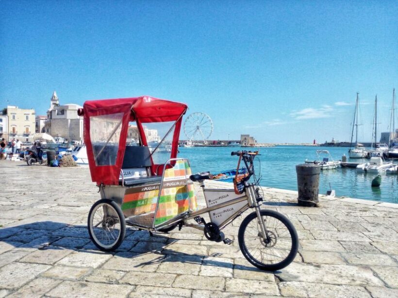 Organized tour from Bari to Castel del Monte - A Closer Look at the Tour Experience