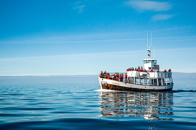 Original Carbon Neutral Whale Watching Tour From Húsavík - Onboard Amenities