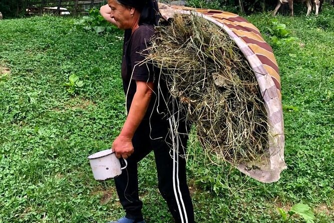 Original Carpathian Village Experience and Sinaia in One Day Tour - Meeting and Pickup