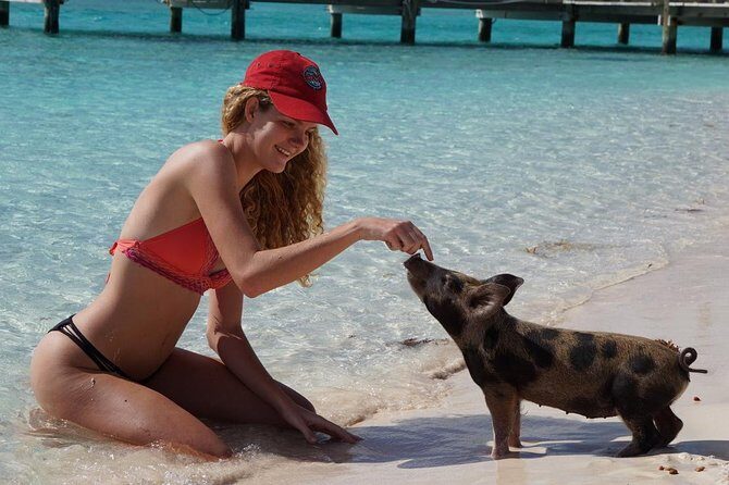 Original Exuma Powerboat Adventures - A Deep Dive into the Exuma Powerboat Adventure