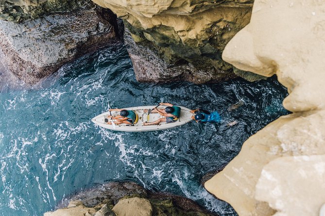 Original La Jolla Sea Cave Kayak Tour for Two - Who Will Love This Tour?
