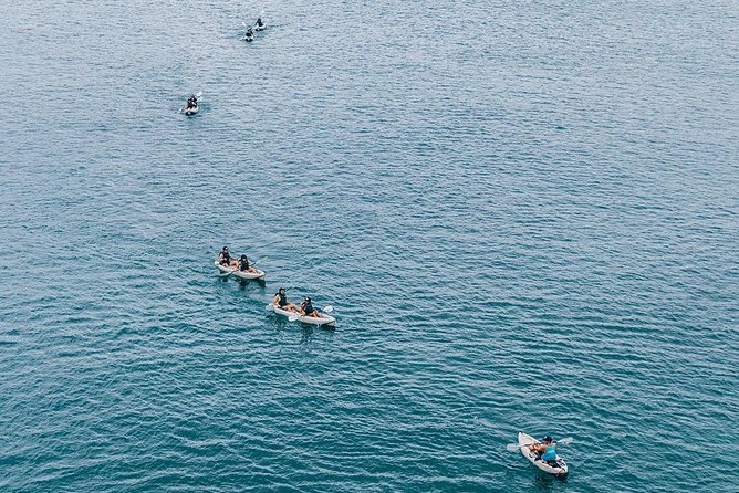 Original La Jolla Sea Cave Kayak Tour for Two - Final Thoughts