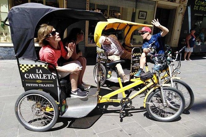 Original Nice City Tour ( Pedicab-Vélo Taxi) - Exploring the Citys Highlights With a Pedicab Tour
