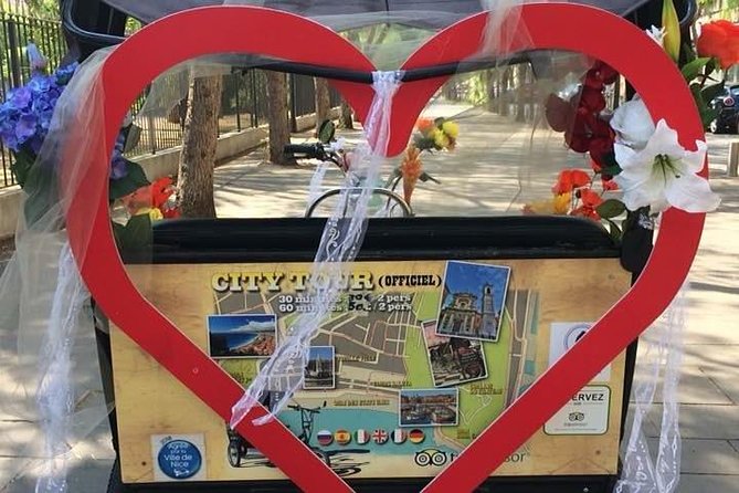 Original Nice City Tour ( Pedicab-Vélo Taxi) - A Hassle-free and Personalized Sightseeing Experience