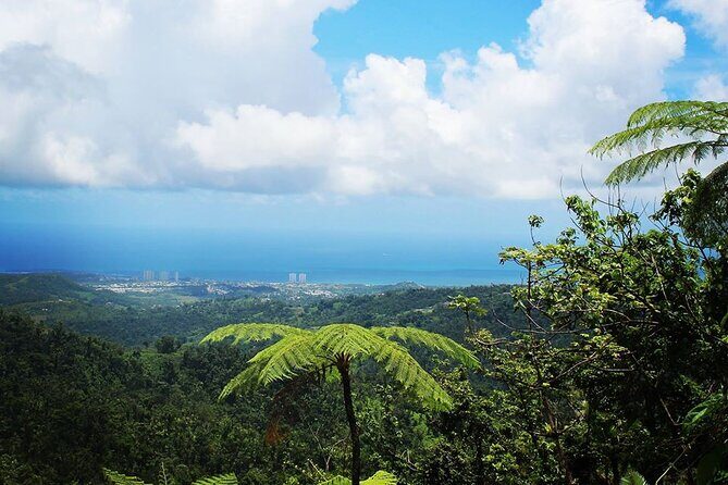 Original Tropical Rainforest and Beach Adventure - The Value of the Tour: Is It Worth It?