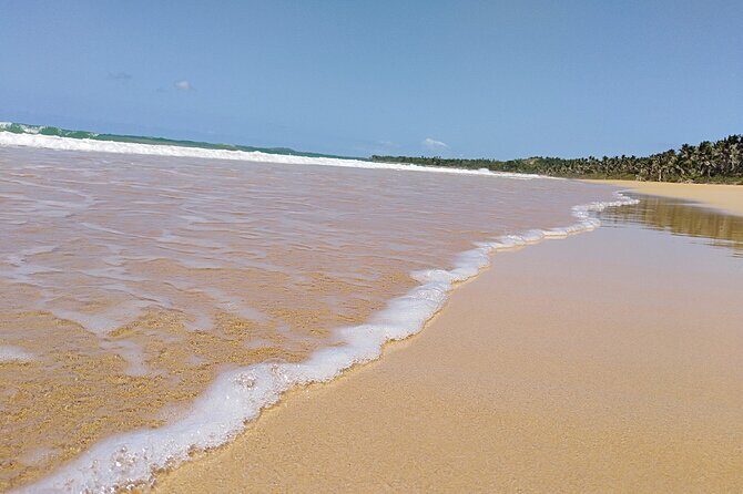 Original Tropical Rainforest and Beach Adventure - Final Thoughts: Why This Tour Might Be Your Best Choice