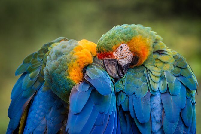 Original Tropical Rainforest and Beach Adventure - FAQs