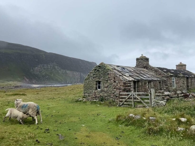 Orkney: Private Tour with Local Guide - Who Will Love This Tour?
