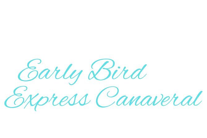 Orlando Airport to Port Canaveral & Cocoa Beach Private Transfer - Who Should Consider This Service?