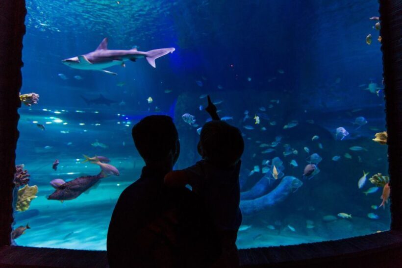 Orlando: All-Inclusive Pass with Kennedy Space Center - The Sum Up