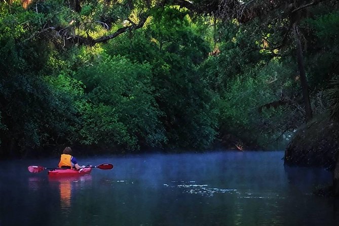 Orlando Alligator Experience - Key Points