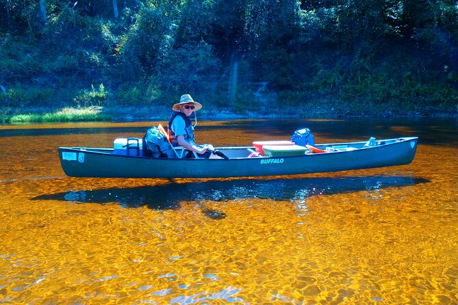 Orlando Alligator Experience - Who will love this experience?