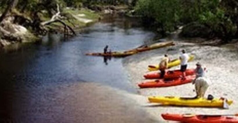Orlando Alligator Experience: Day-Trip From Orlando - An Authentic Florida Wilderness Adventure