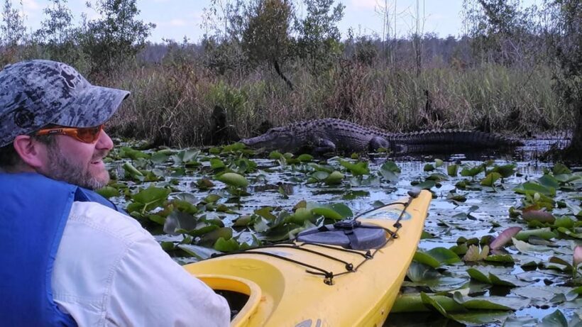 Orlando Alligator Experience: Day-Trip From Orlando - What to Expect on the Paddle