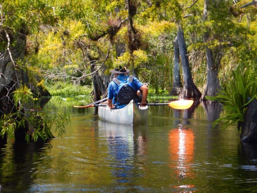 Orlando Alligator Experience: Day-Trip From Orlando - Practical Details and Logistics
