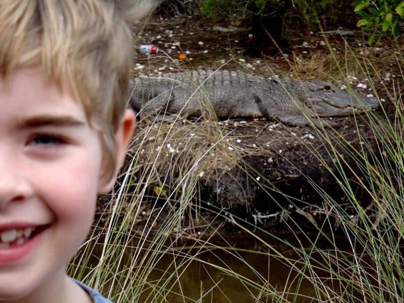 Orlando Alligator Experience: Day-Trip From Orlando - FAQ