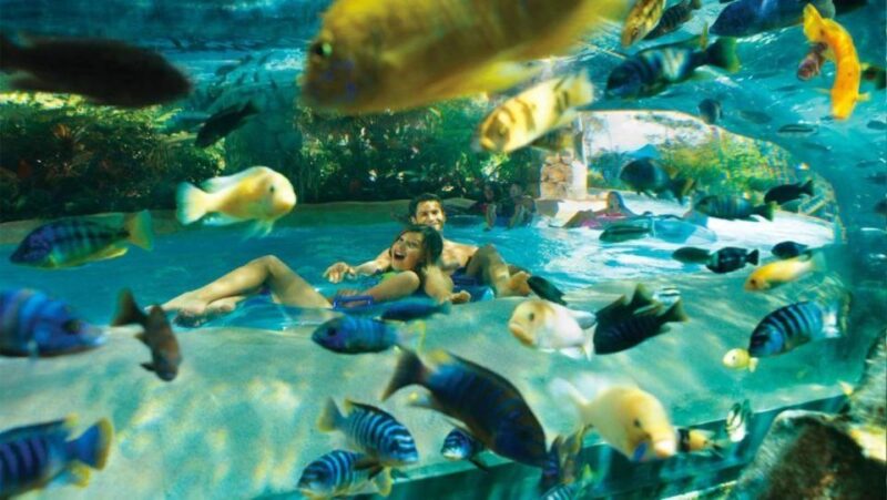 Orlando: Aquatica Water Park Admission Ticket - Practical Details and Tips